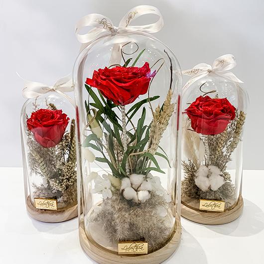 Exploring the Enchanting World of Eternal Roses – Luluthia Design Inc