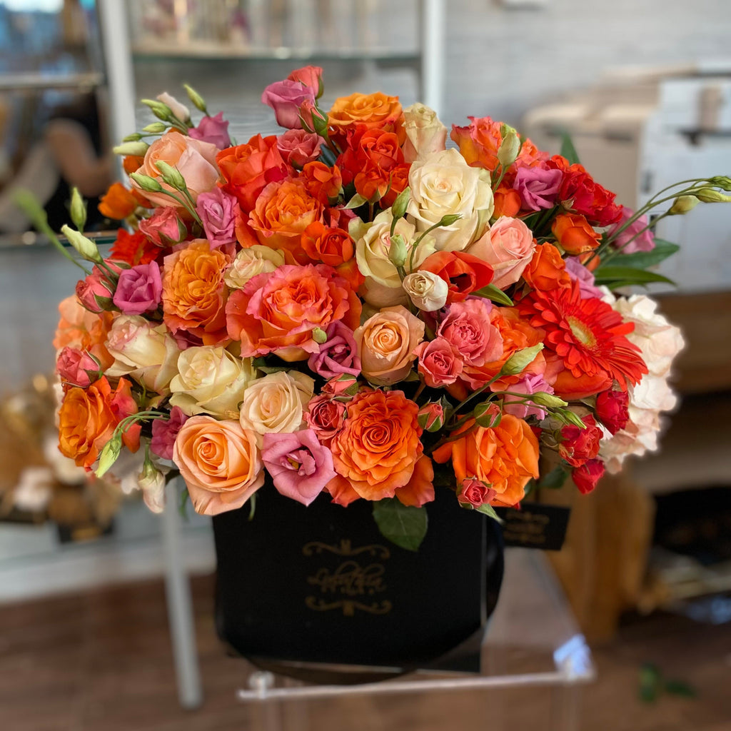 HELLO KENDAL – Luluthia Design Inc