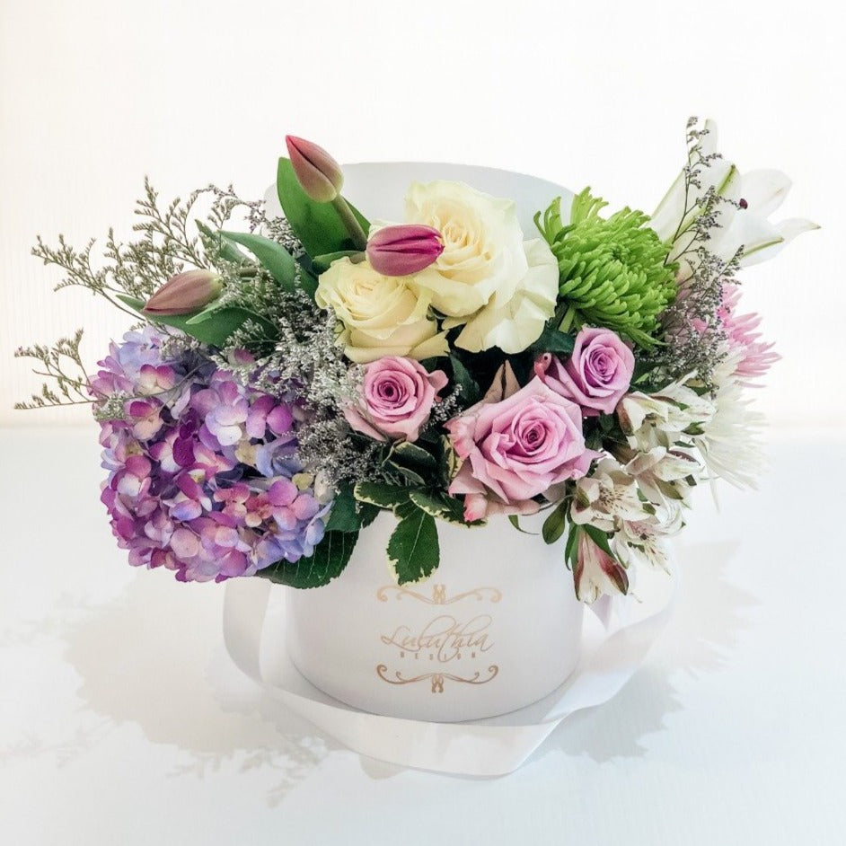 VIOLETTA – Luluthia Design Inc