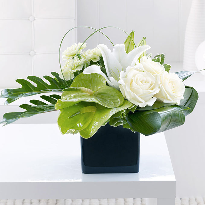 51 – Luluthia Design Inc