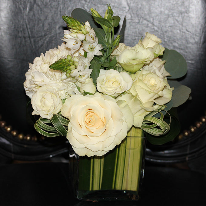 STELLA – Luluthia Design Inc